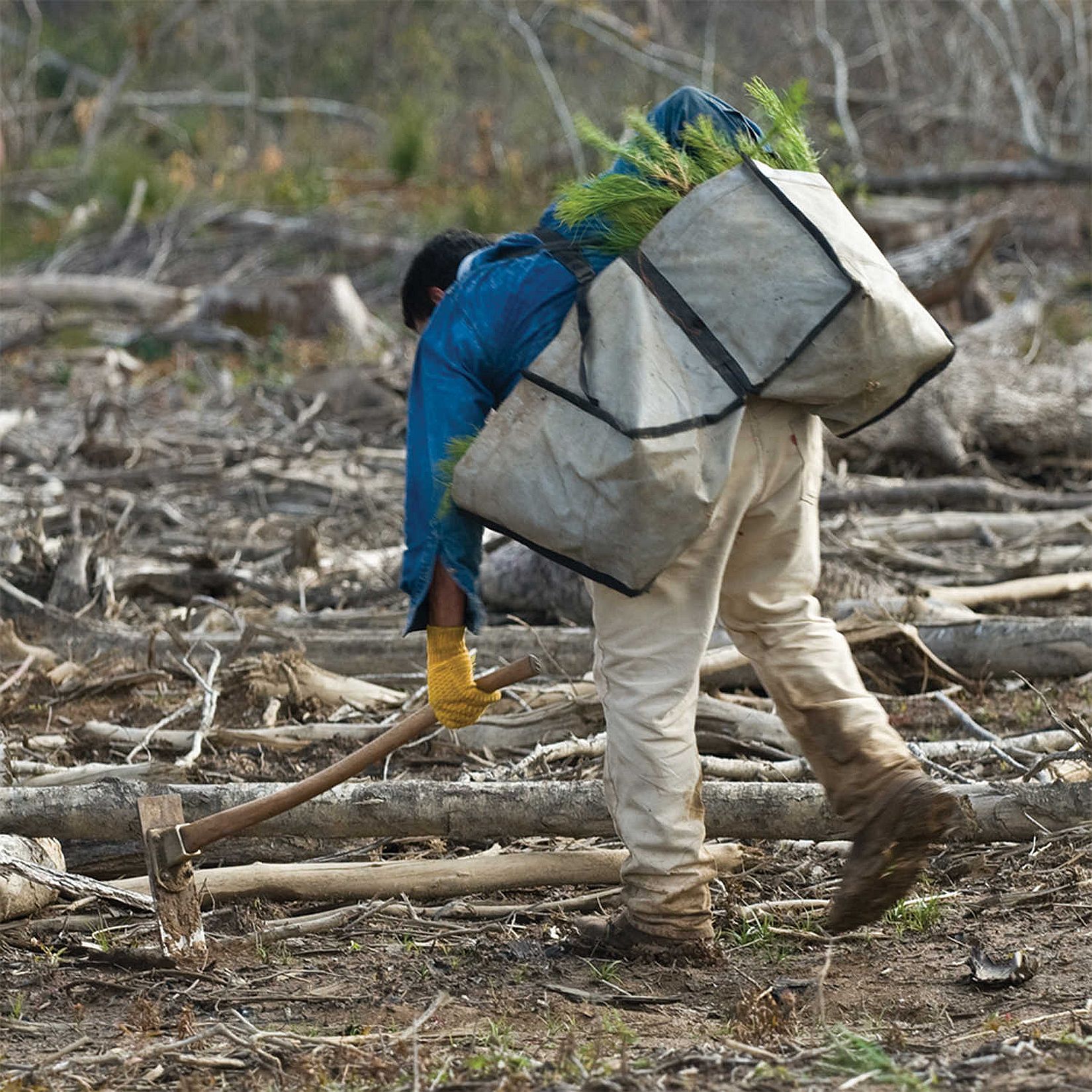 Dirt First! – Piece of Mindful